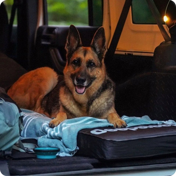 Shop 4Runner Mattress: Deepsleep 4Runner Foam + Air Mattress Bed ...